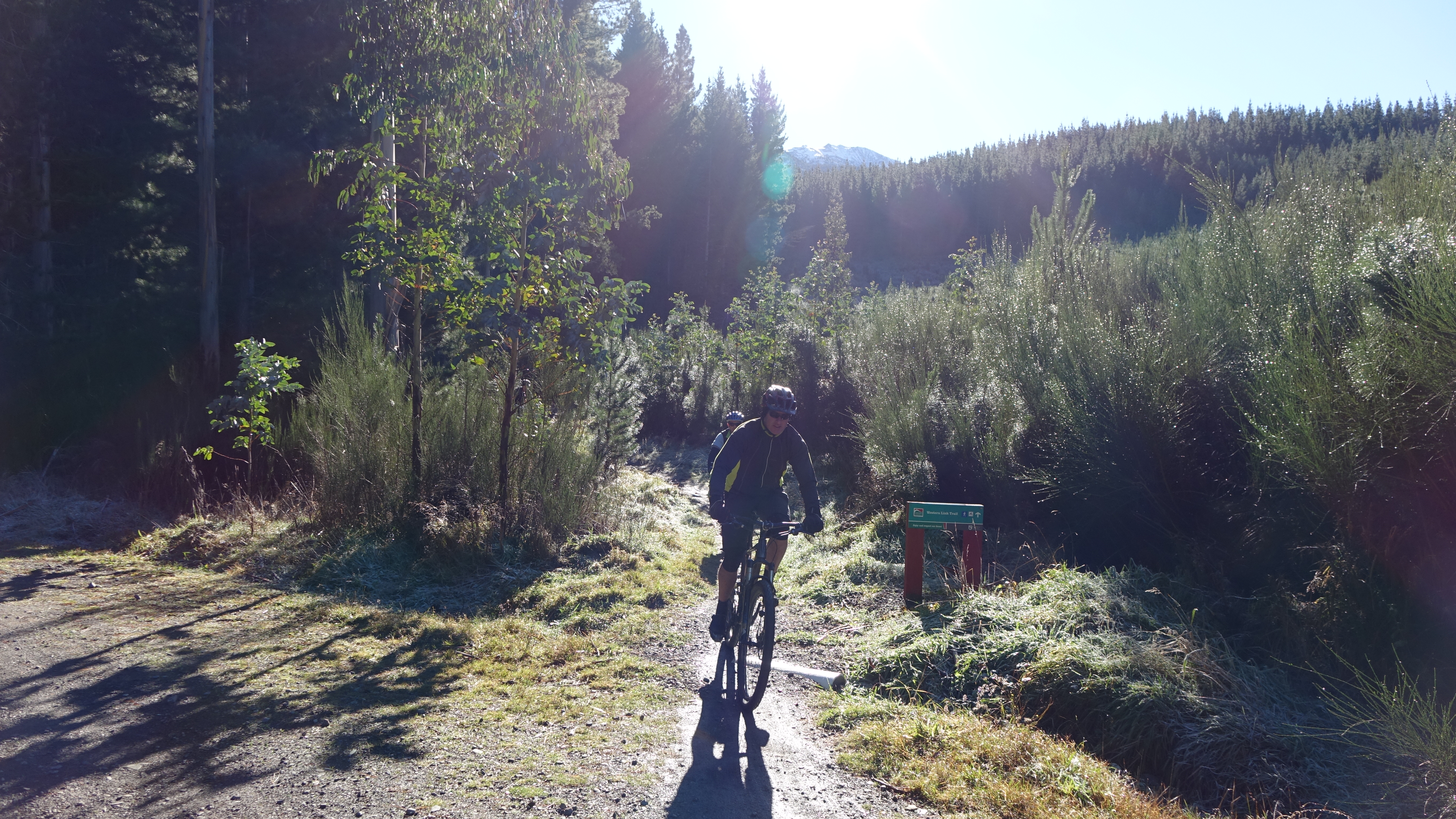 Exploring the Forests of Hanmer Springs | Hanmer Springs TOP 10