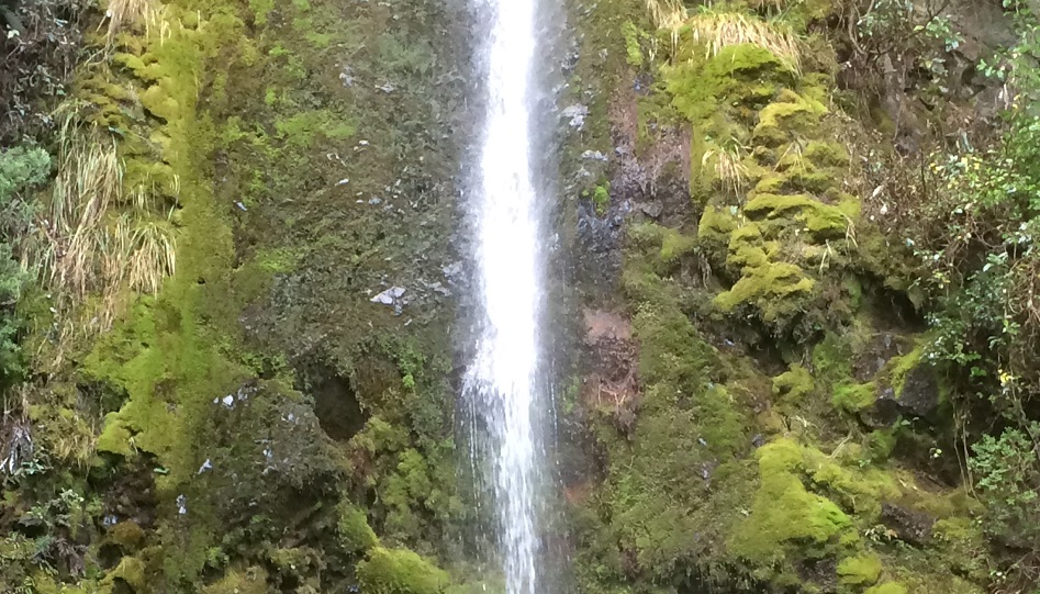 Discovering the Dog Stream Waterfall | Hanmer Springs TOP 10